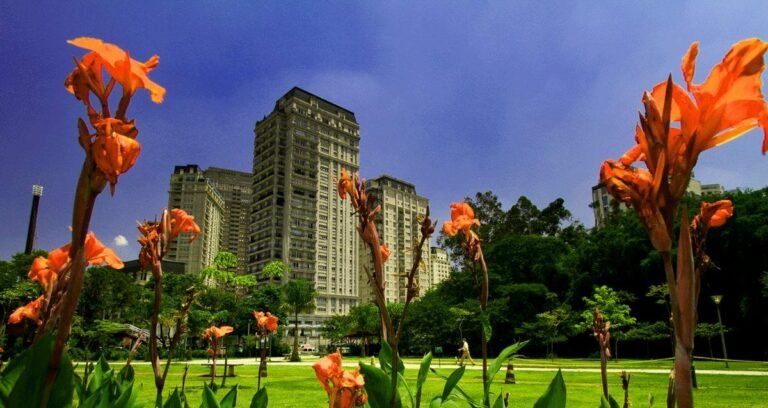 Itaim Bibi, São Paulo/SP - Veja como é morar no bairro - Portal Loft