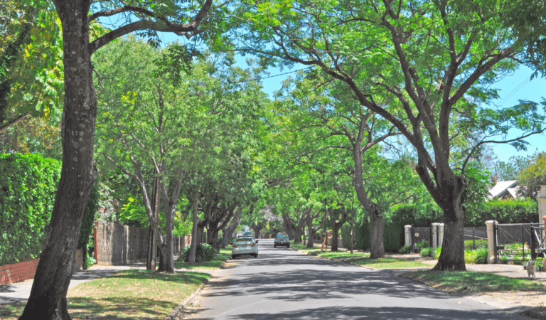 Jardim América, São Paulo/SP - Veja como é morar no bairro