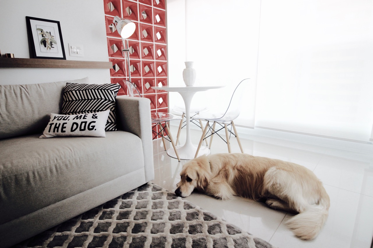 Como fazer decoração de kitnet