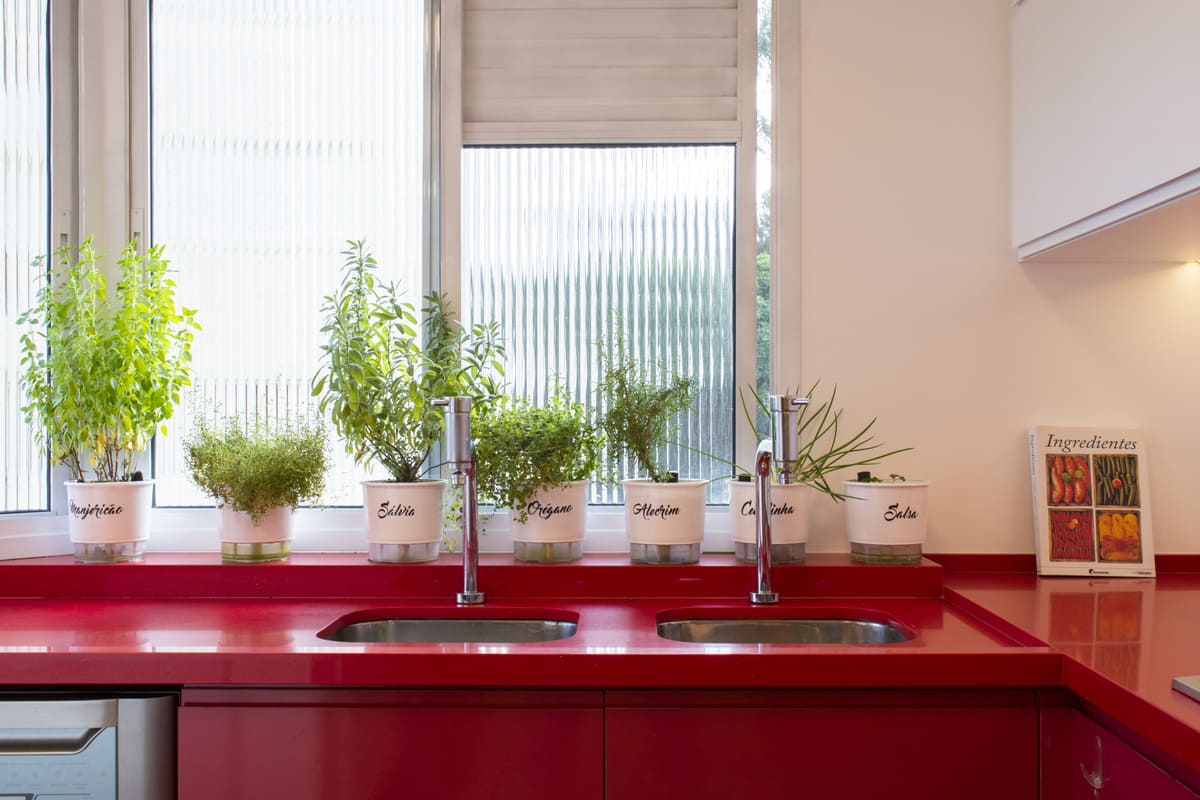 Como fazer uma horta em casa - Portal Loft