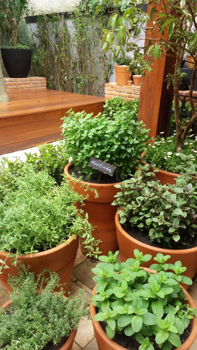 Como fazer uma horta em casa - Portal Loft