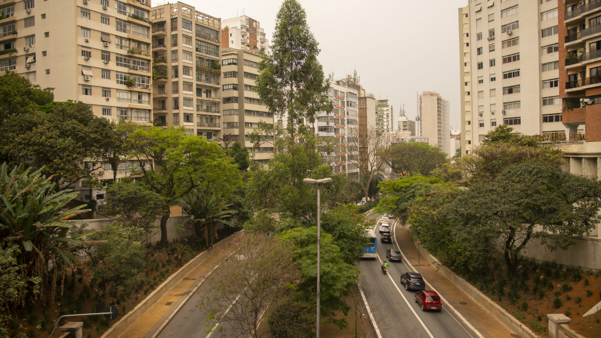 Dados e pesquisas - Portal Loft