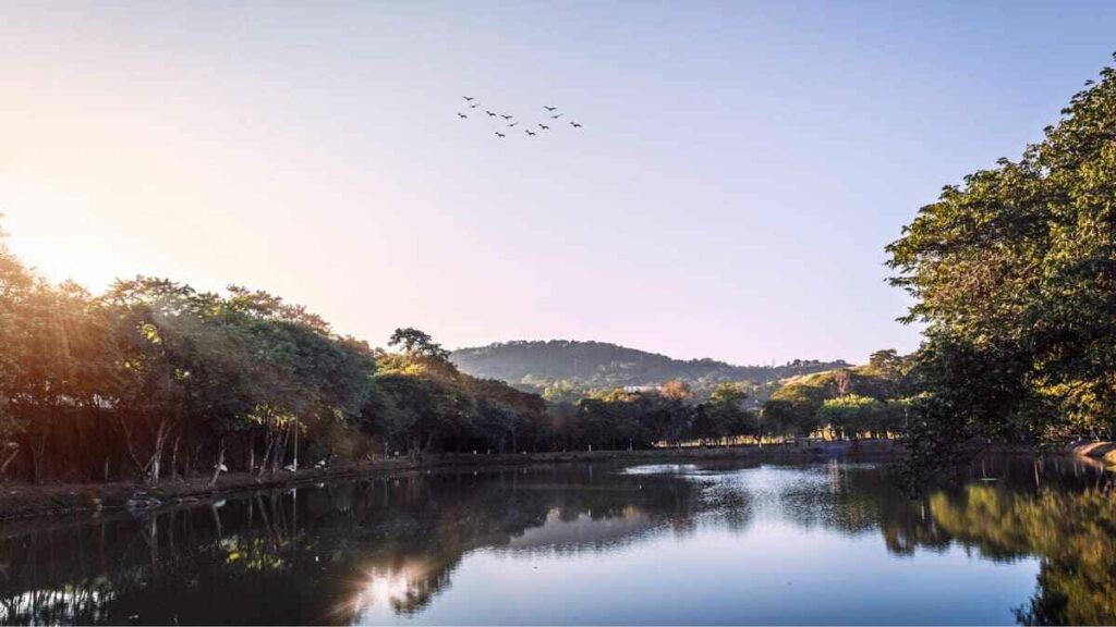 Valinhos - SP: como é morar na considerada melhor cidade do Brasil?