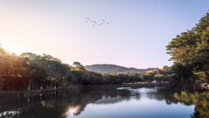 Valinhos - SP: como é morar na considerada melhor cidade do Brasil?